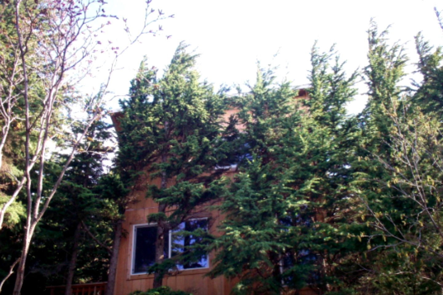 Anchorage, Alaska : Hopaway Holiday - Vacation and Leisure Services